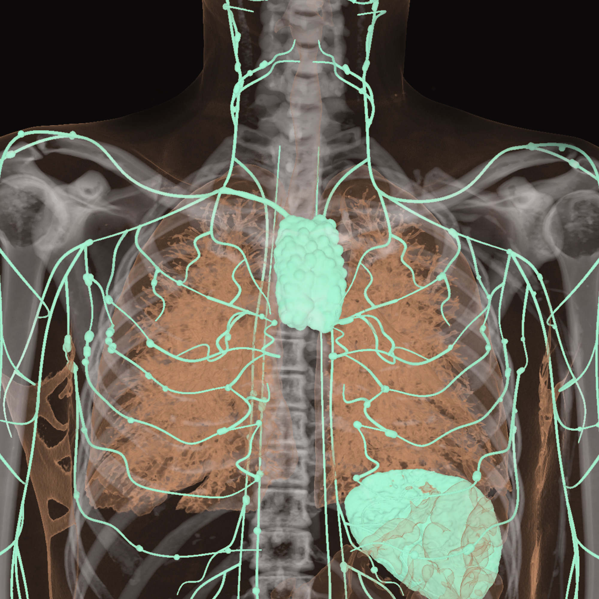 Ben Body Exhibition - Interspectral